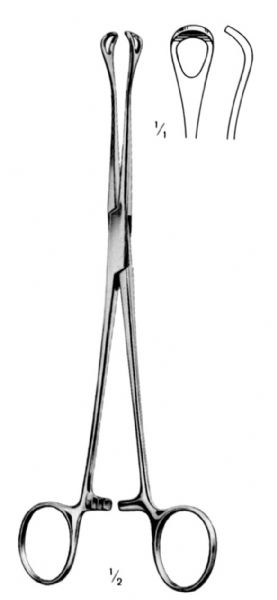 MAYO-BLAKE GALL STONE FORCEPS 20CM