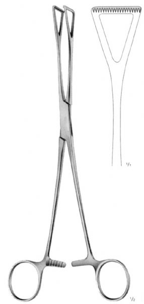 DUVAL LUNG FORCEPS 230MM