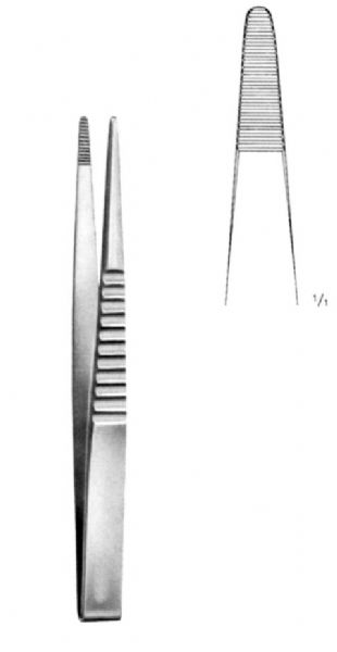 DISSECTING FORCEPS SERRATED 155MM
