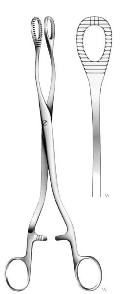 HEYWOOD-SMITH POLYP FORCEPS STR 250MM