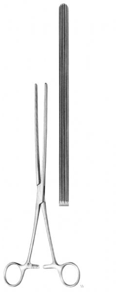 MAYO-ROBSON INTESTINAL FORCEPS STR 250MM