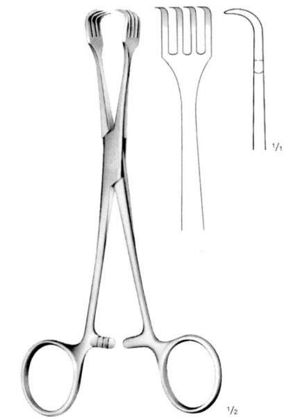 BRAUN FORCEPS 4X4 155MM