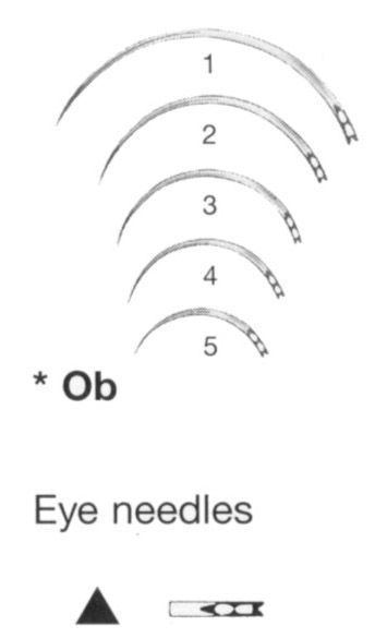EYE SUT.NEEDLE #OB5 TRIANG.PO.SPR.EYE