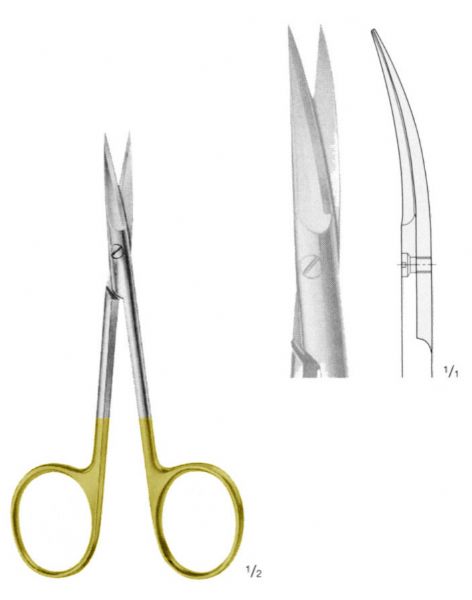 TC IRIS SCISSORS CVD S/S 110MM