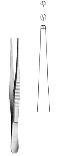 STANDARD TISSUE FORCEPS 1X2 145MM