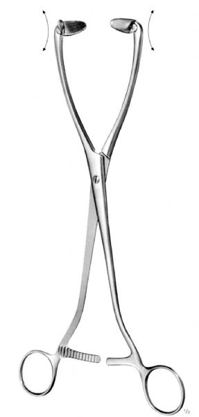 COLLIN FORCEPS MOVABLE JAWS STRAIGHT 265MM