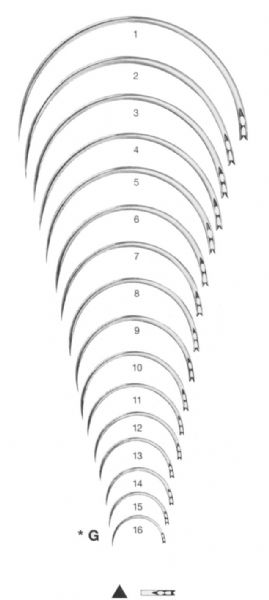 SUTURE NEEDLE #G14 TRIANG.POINT SPR.EYE