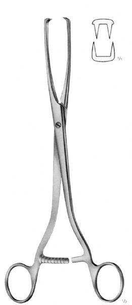 MUSEUX FORCEPS LONG STRAIGHT 2X2 240MM