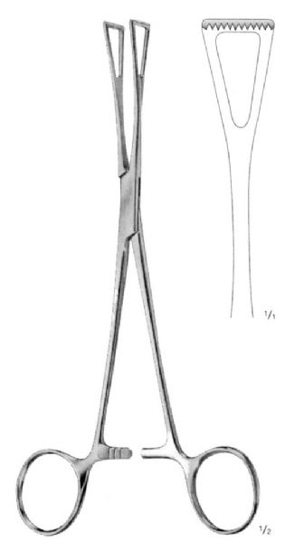 COLLIN INTESTINAL FORCEPS 180MM