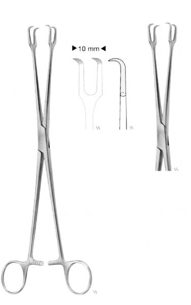 SCHROEDER TENACULUM FORCEPS STRAIGHT 2X2 250MM