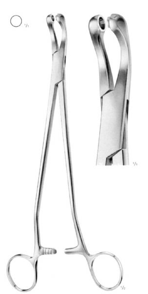 THOMS-GAYLOR BIOPSY FORCEPS 240MM