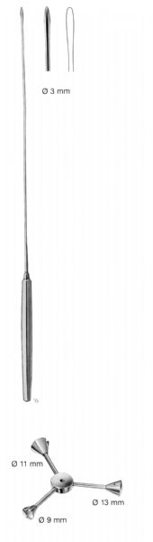 PAPILLOTOME CONSISTING