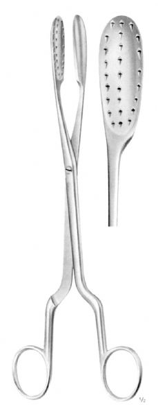 LEWKOWITZ LITHOTOMY FORCEPS STR 245MM